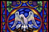 Gallery | Carol Ezell-Gilson